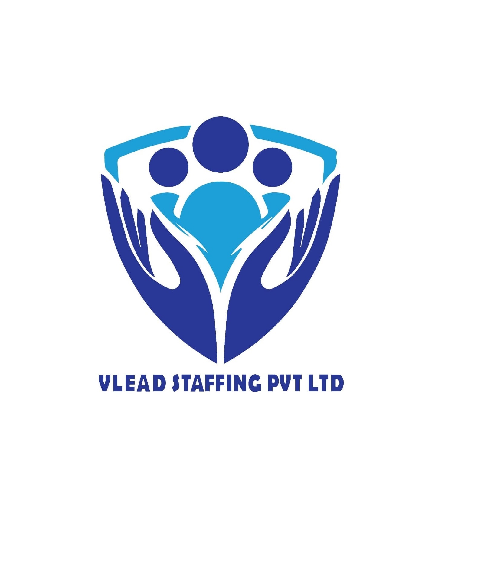 Picker and Packer - Vlead Staffing Private Limited - Gurugram (Haryana)
